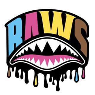 BAWS (Hat) – Levels Clothing Inc.
